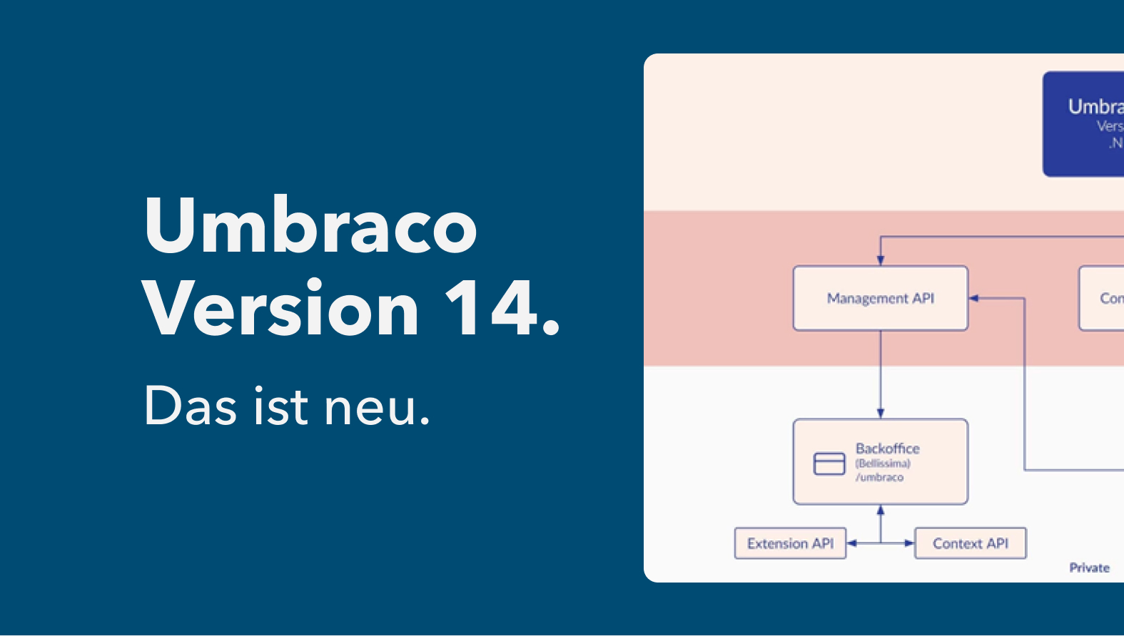 Umbraco 14: The Most Important Innovations in 2024 | byte5